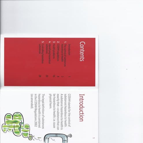 Principles of coshh | PDF