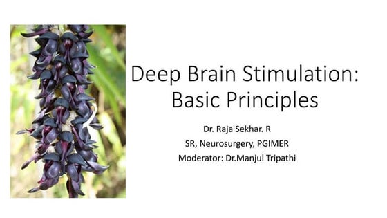 Deep Brain Stimulation for Parkinson's disease | Treatment at Yashoda Hospitals | PPT