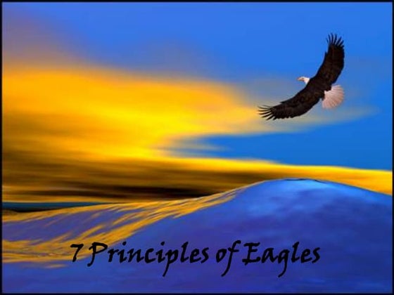 Lessons From The Life Of An Eagle | PDF | Birdwatching | Hobbies ...