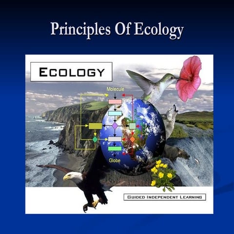 Principles Of Ecology2007 | PPT
