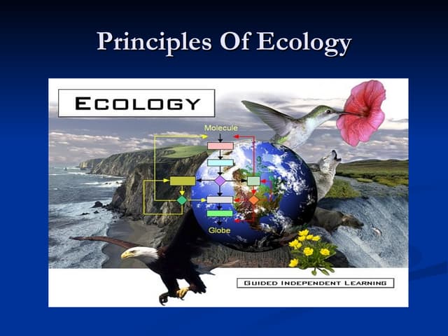Science G10 3rd Q Ecosystem and Biodiversity | PPTX