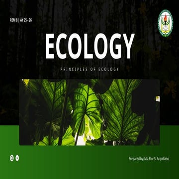 PRINCIPLES OF ECOLOGY TEMPLATE.pptx BS REM 1ST SEM | PPTX