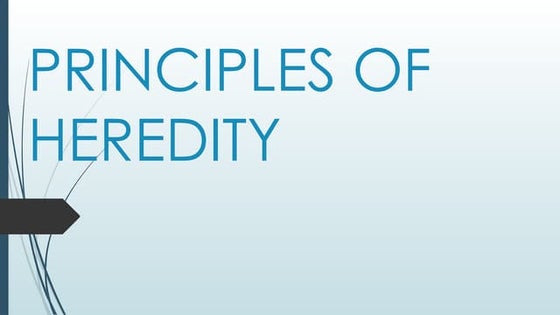 Yodiaceilor0707 presentations