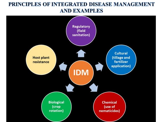 Integrated Plant Disease Management (IDM) | PPTX