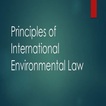 Principles of International Environmental Law.pptx