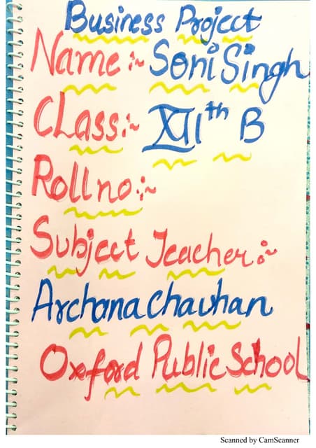 Principles of Management Project CLASS XII | DOCX