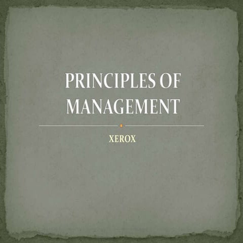 Principles Of Management Ppt | PPTX