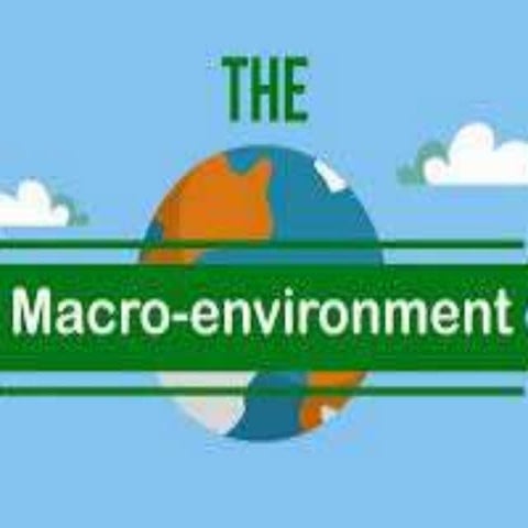 THE MACRO ENVIRONMENT | PPTX