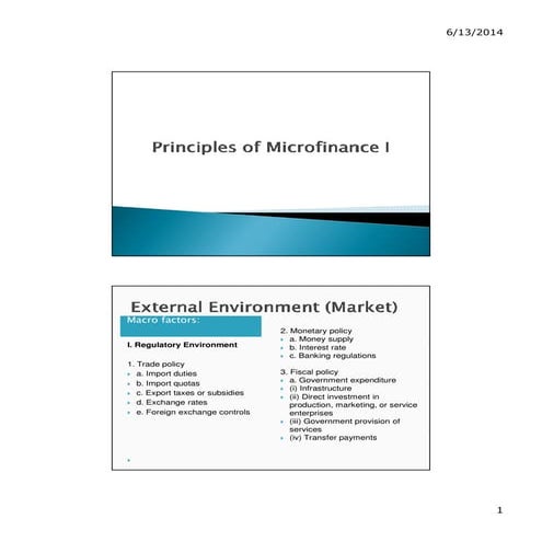 Principles of microfinance i | PDF