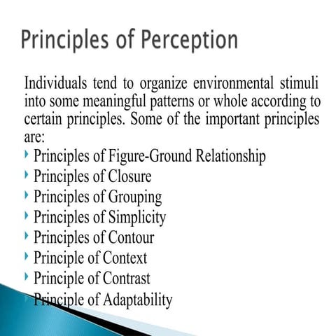 Principles of perception in organisational behaviour | PPTX