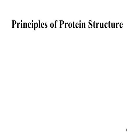 Principles of Protein Structure | PPT