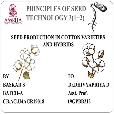 Cotton seed production in hybrids & varieties | PPTX