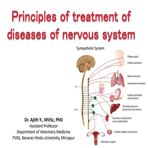 Principles of treatment of nervous dysfunction Veterinary Neurology | PPTX