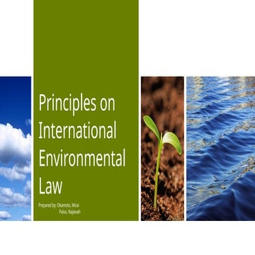 Principles on International Environmental Law.pptx