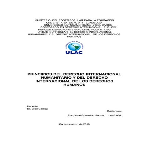 Principios DIH Y DIDH | DOCX