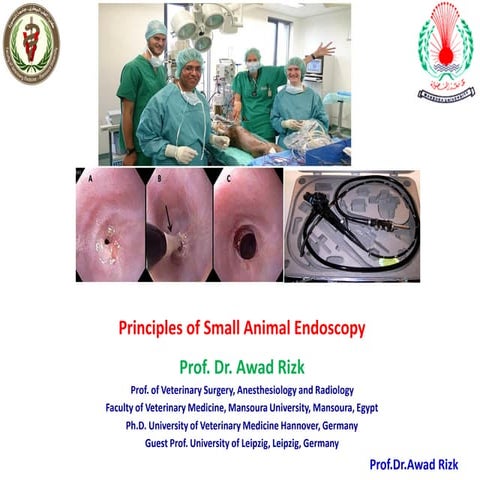 ENDOSCOPY | PPT