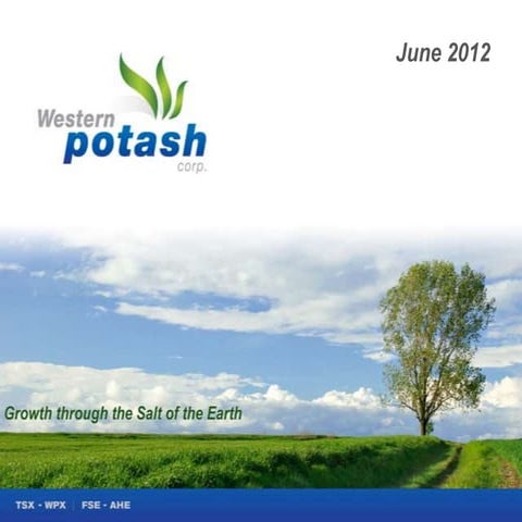 Western potash corp.