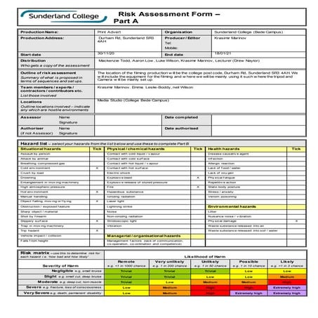 Print ad risk assesment | DOCX