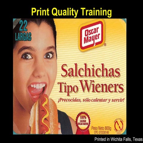 Print Defect Recognition | PPT