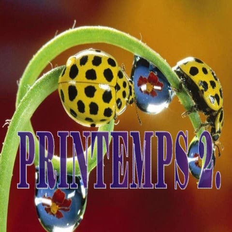 Printemps 2. ildy | PPT