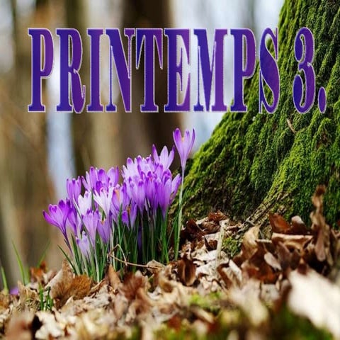 Printemps 3. ildy | PPS
