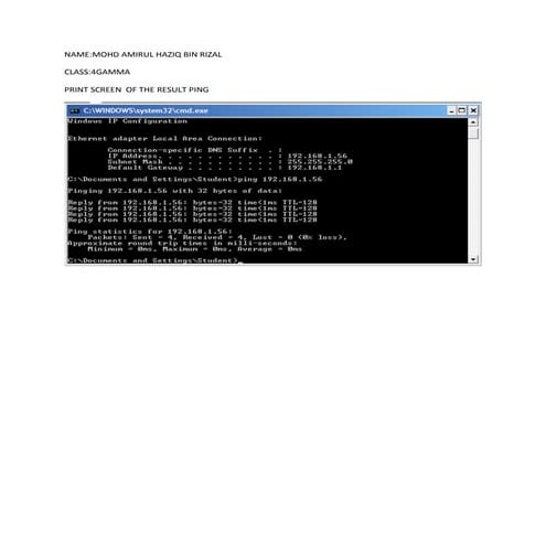 Print screen of ping result | PDF