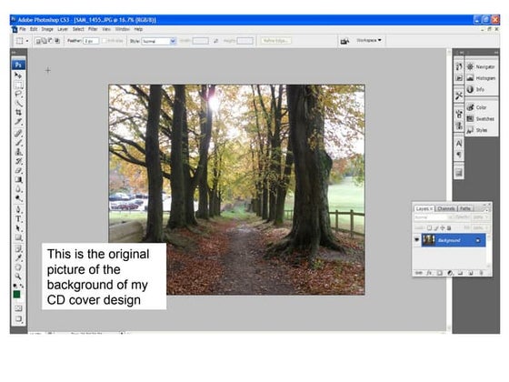 Print screen of flower editing pt2 | DOCX