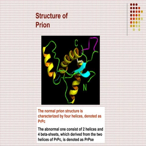 Prions and diseases | PPT