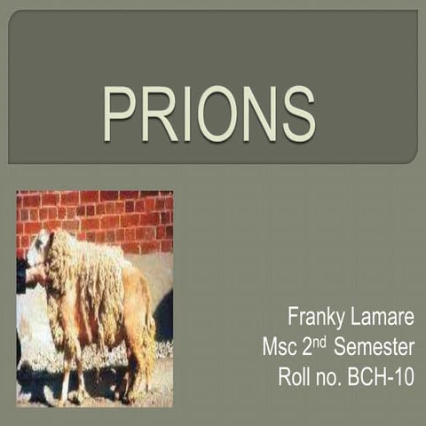 Prions and diseases | PPT