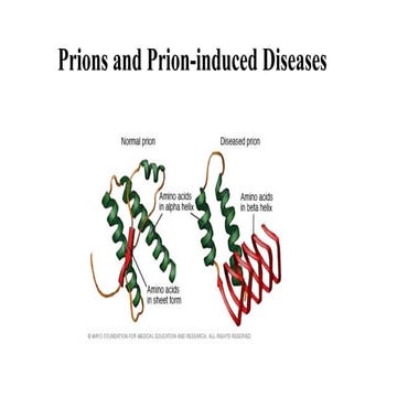 Overview: Prions and Prion-induced Diseases.pptx | Free Download