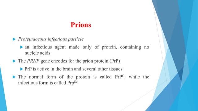 Prions and diseases | PPT