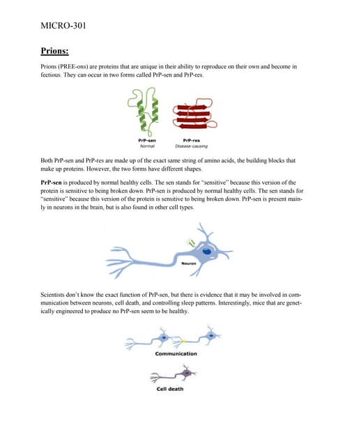 Prions and diseases | PPT