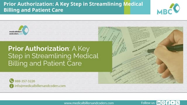 Referral vs. Authorization: Understanding the Key Differences in ...