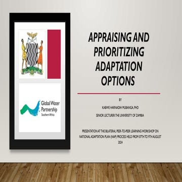 Appraising and Prioritizing Adaptation Options | PPTX