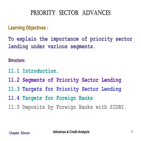 Raj Jaiswal - priority sector lending.pdf