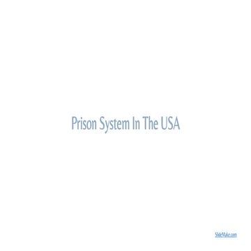 Prison System In The USA.pptx