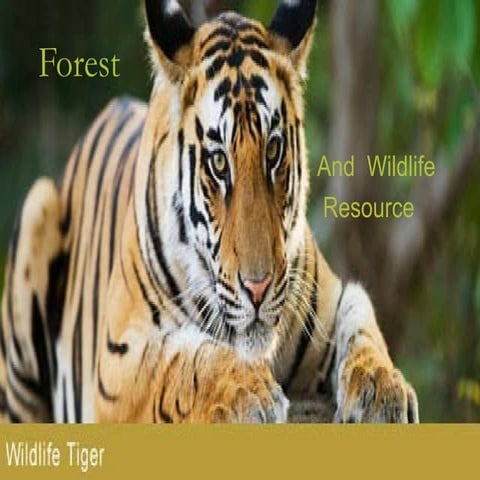 forest and wildlife resource | PPT
