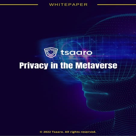 Privacy-in-the-Metaverse | PDF