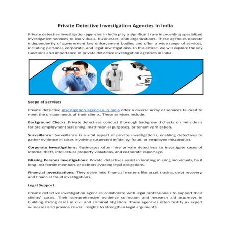 Private Detective Investigation Agencies in India | PDF