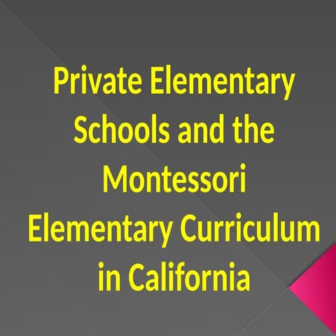Private Elementary Schools and the Montessori Elementary Curriculum in ...