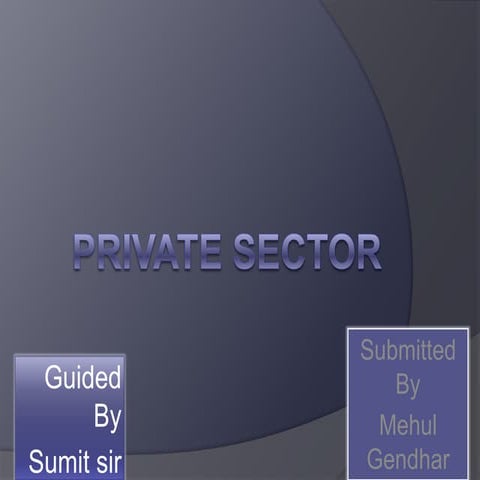 Private sector | PPTX