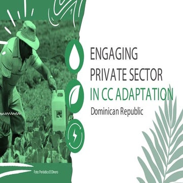 Engaging the Private Sector in Climate Change Adaptation in Dominican ...