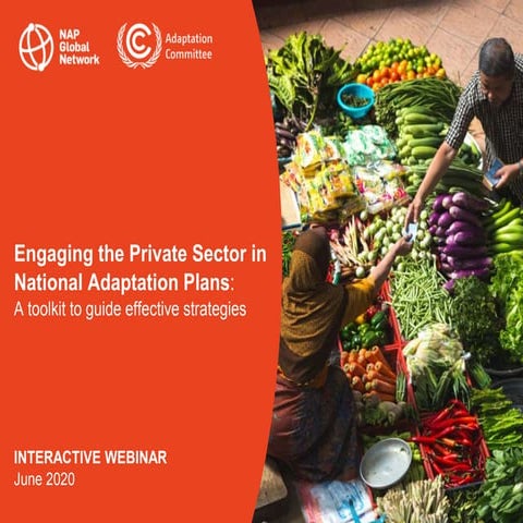 Webinar | Engaging the Private Sector in National Adaptation Plans: A toolkit to guide effective ...