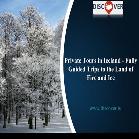 Private Tours Iceland | PDF