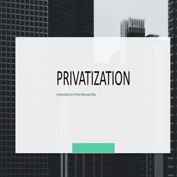 PRIVATIZATION.pptx