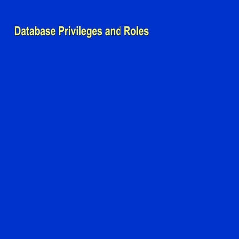 Introduction DB and Database Users Privileges.ppt