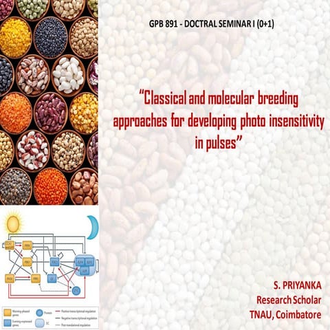 Classical and molecular breeding approaches for developing photo ...