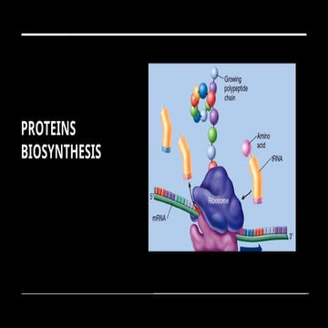 science Protein Synthesis Quarter 3 Grade 10.pptx