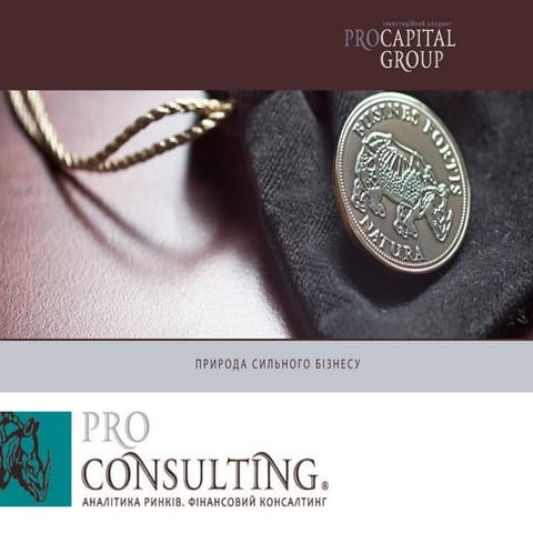 Pro consulting presentation | PDF
