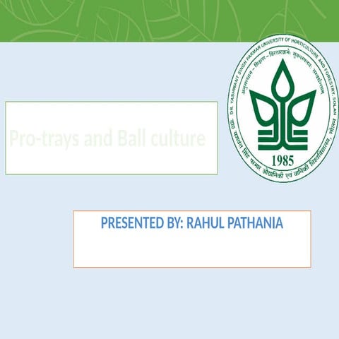 Pro-trays and Ball culture(Practical) PPT by Rahul Pathania .pptx
